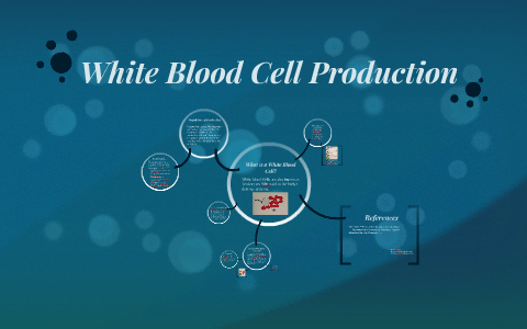 White Blood Cell Production by Carley Kiser on Prezi