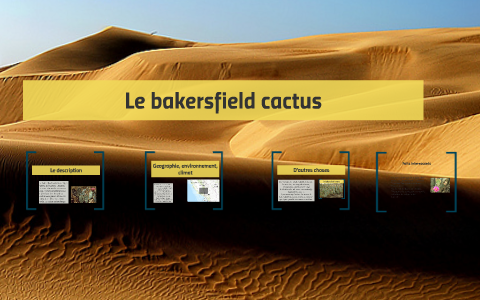Le bakersfield cactus by Avery Baker on Prezi