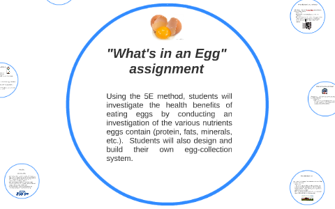 "What's in an Egg" assignment by Science Teacher on Prezi
