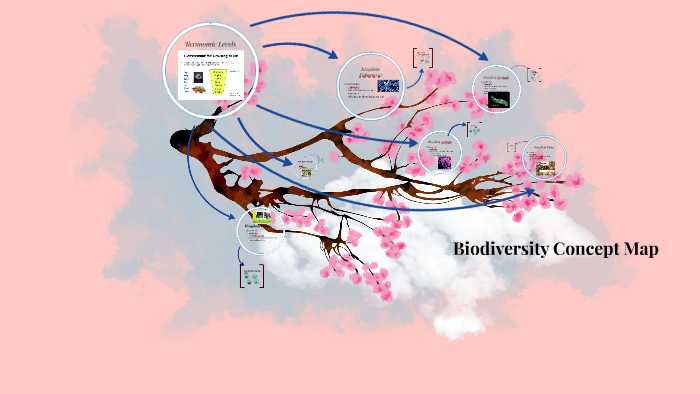Biodiversity Concept Map by Aaima Cheema on Prezi