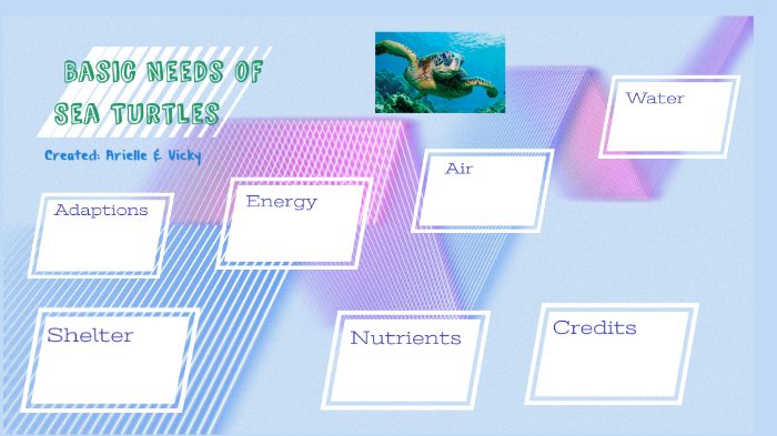 Basic needs for sea turtles by Vicky Chan on Prezi