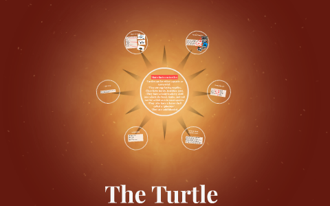 Family Tree of the Turtle by charlotte darrousez on Prezi