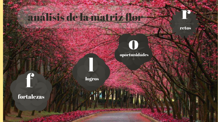 MATRIZ FLOR by paula andrea albornoz viatelly on Prezi