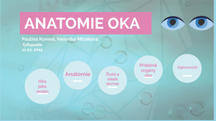 Anatomie oka by prezentace dotyfla on Prezi