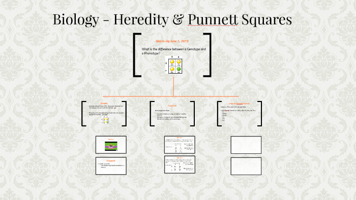 Biology - Heredity & Punnett Squares by Sherise Lewis on Prezi