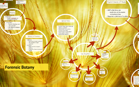 Forensic Botany by Desi Sileo on Prezi