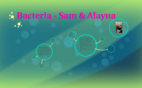 Bacteria - Sam & Alayna by Samantha Laughman