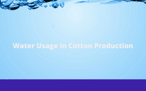 Water Usage in cotton production by Jared Rein on Prezi
