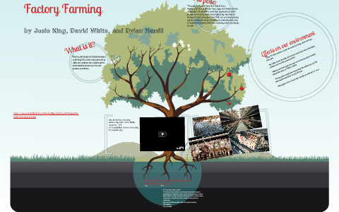 Factory Farming and Its Effects on the Environment by Dylan Hamill on Prezi