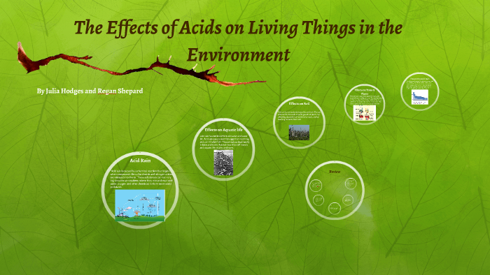 The Effects of Acids on Living Things in the Environment by Julia ...