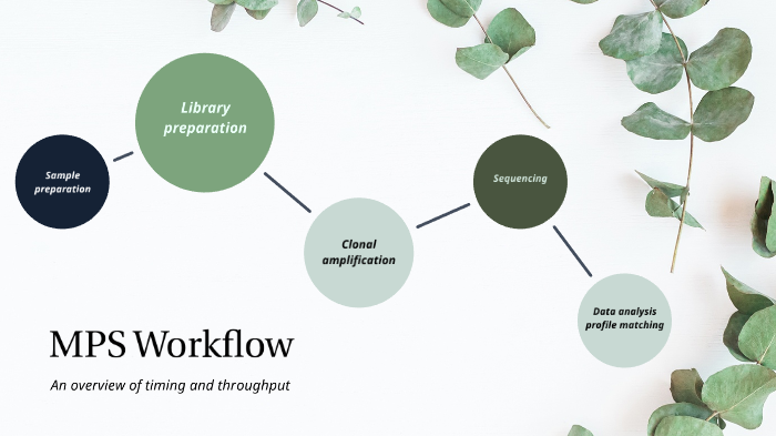 MPS Workflow by Lisa Vangeel on Prezi