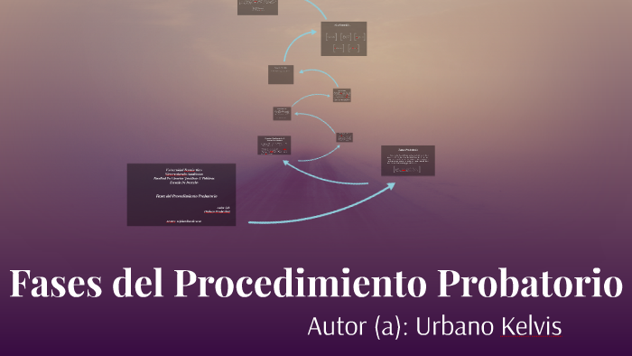 Fases del Procedimiento Probatorio by Universidad FERMIN TORO