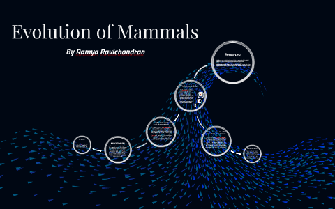 Evolution of Mammals by Ramya Ravichandran on Prezi