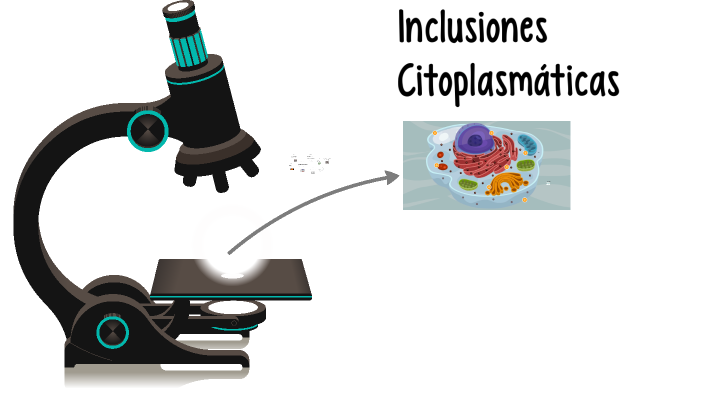 Inclusiones Citoplasmáticas by Maryuris Lou on Prezi