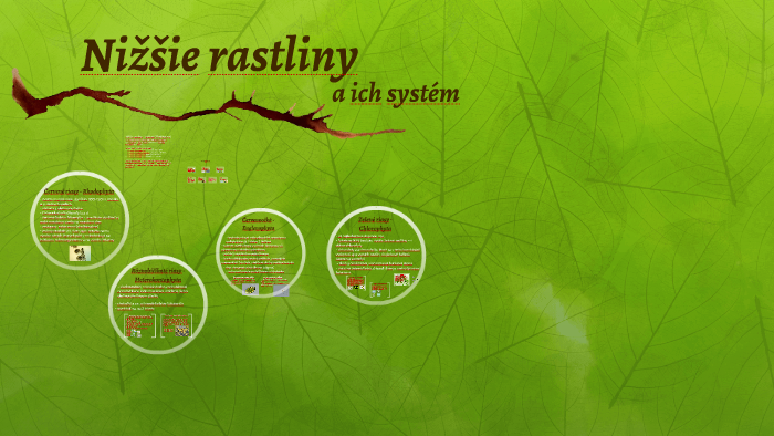 Nižšie rastliny by Noemi Vařáková on Prezi