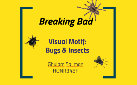 Bugs & Insects in Breaking Bad by Ghulam Sallman on Prezi