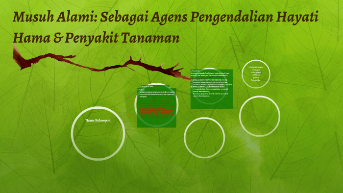 Musuh Alami: Sebagai Agen PENGENDALIAN HAYATI HAMA & PENYAK by ajeng ...