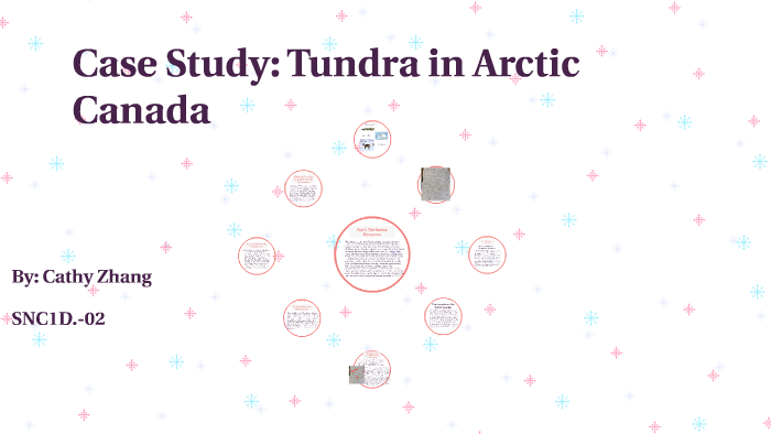 Case Study of the Tundra in Arctic Canada by Cathy Zhang on Prezi