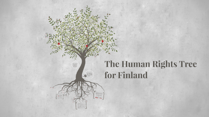 The Human Rights Tree by Markku Perala on Prezi