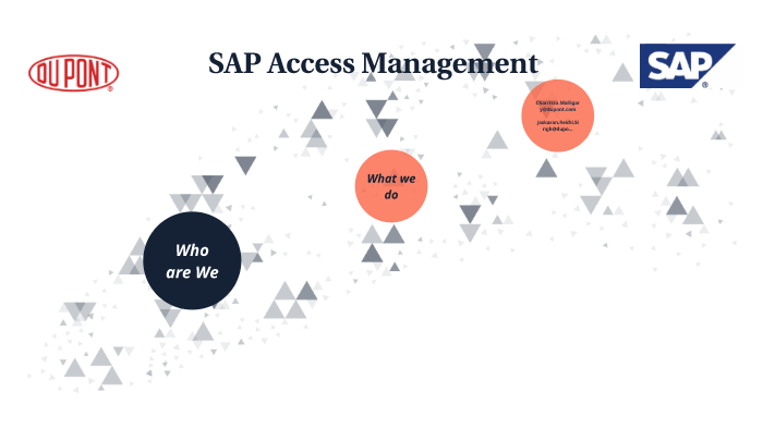 SAP Access Management by Karan Singh on Prezi