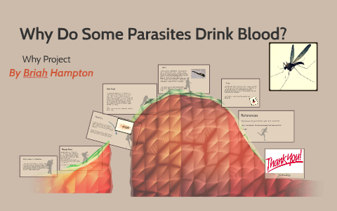 Why Do Some Parasites Drink Blood? by Briah Hampton on Prezi