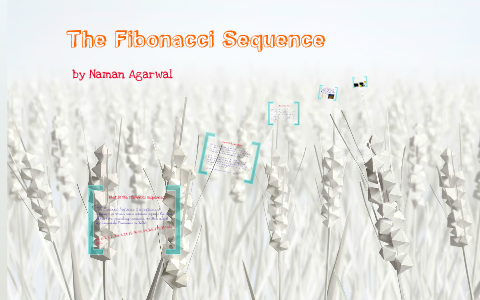Fibonacci Sequence by Naman A