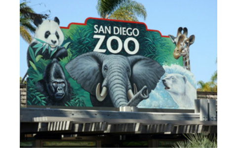 Should Zoos Exist? by Talia Kirschbaum on Prezi
