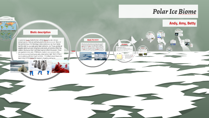 Polar Ice Biome by Amy Yang on Prezi
