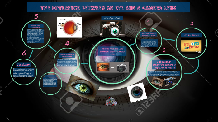 What is the difference between an eye and a camera lens? by Bryce Davis ...