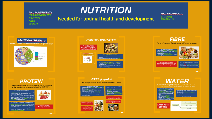 HHD U1 AOS 2 (PART 1) by Casey Hawley on Prezi