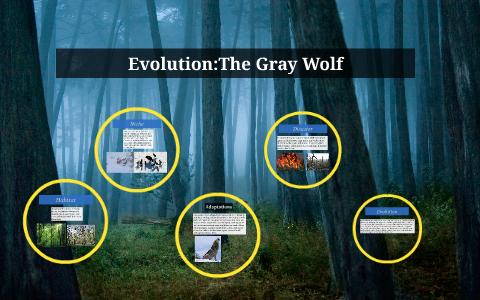 Evolution by gabe Avila on Prezi
