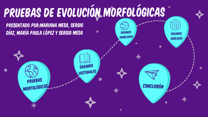 pruebas morfológicas by maria paula lopez ramon on Prezi