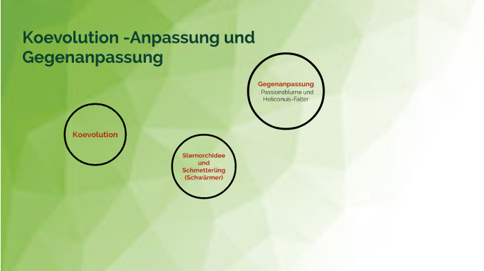 Koevolution fini by ines kainz on Prezi