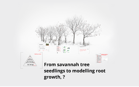 Presentation BET lab by Anna van Doorn on Prezi