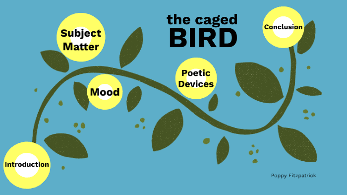 A CAGED BIRD by Poppy Fitzpatrick