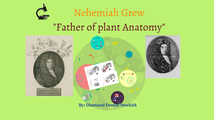 Nehemiah Grew by Diamond Newkirk on Prezi