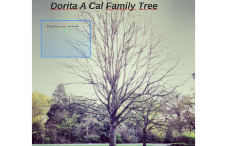 Dorita A Cal Family Tree by Dorita Cal on Prezi