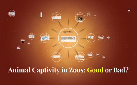 Animal Captivity in Zoos: Good or Bad? by Courtney Sykos on Prezi