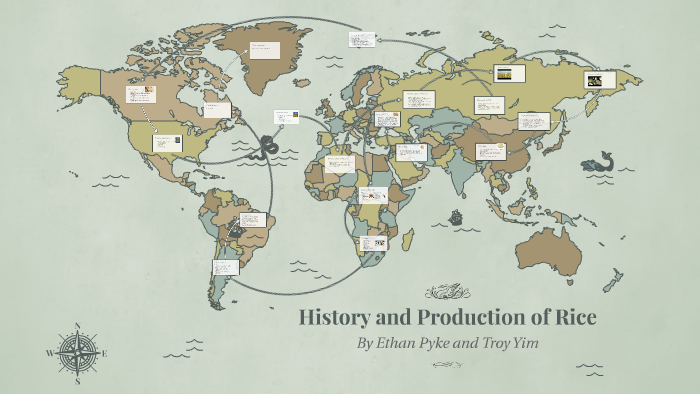 History and Production of Rice by Ethan Pyke on Prezi