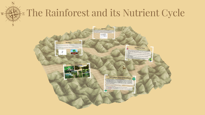 The Rainforest and its Nutrient Cycle by Lucy Butler on Prezi