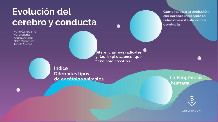 Evolución del cerebro y conducta by NAIRA MOHAMED AHMED on Prezi