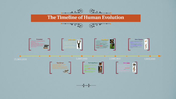 The Timeline of Human Evolution by Chi Nguyen Thuy on Prezi