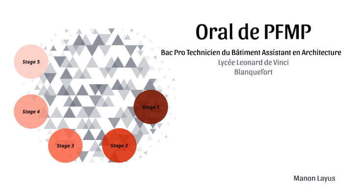 Oral de PFMP by Manon Layus on Prezi