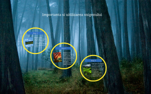 Importanta si uitilizarea oxigenului by Madalina Diana on Prezi