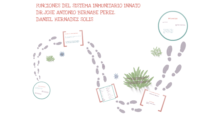 PRESENTACION SISTEMA INNATO by daniel solis on Prezi