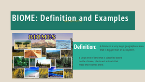 BIOMES: Definition and Examples by Ivan Franz Bangiban on Prezi Design