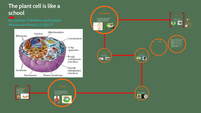 The cell is like a school by michael Jordan on Prezi
