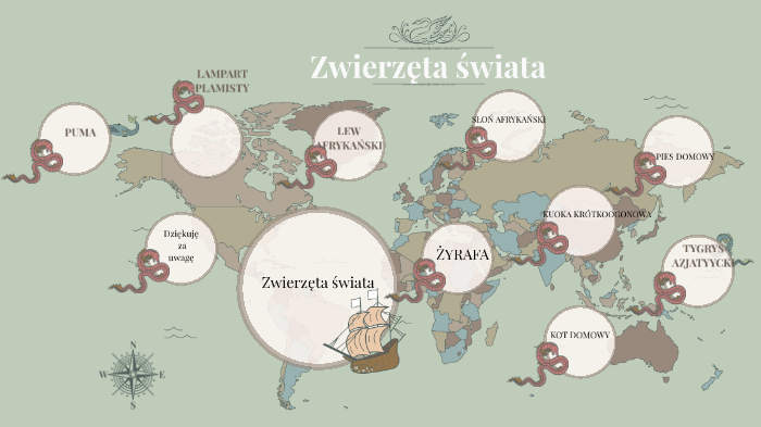 Zwierzęta świata by Adrian Mackiewicz on Prezi