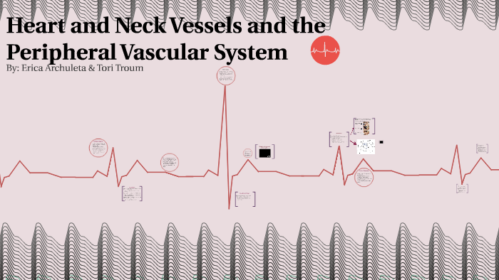 Heart and Neck Vessels and the Peripheral Vascular System by Erica ...