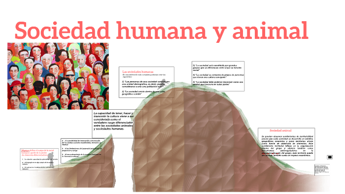 Sociedad humana y animal by Paulo Rocha on Prezi